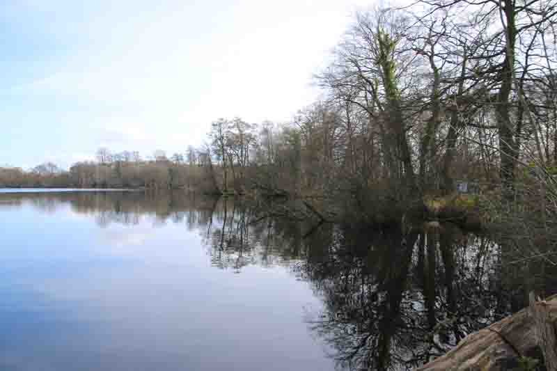 Blakemere - Visit Ellesmere : Visit Ellesmere